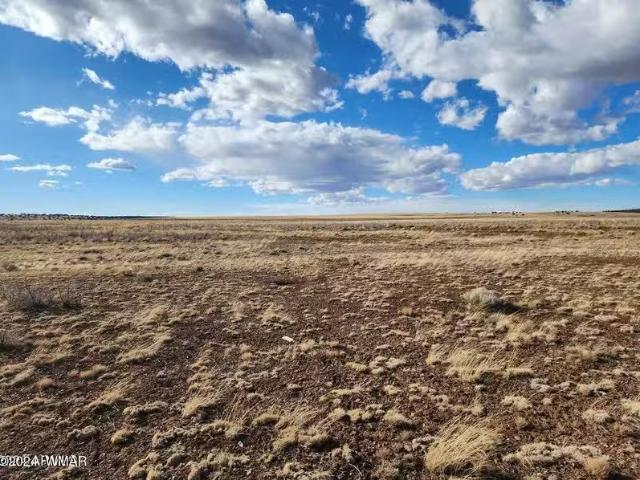 000 N3494, Concho, AZ 85924 MLS 252688