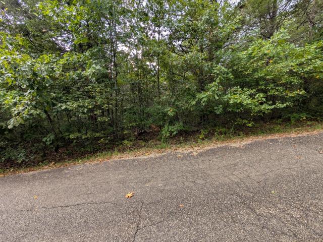 000 N Lot 296 Millstone Street