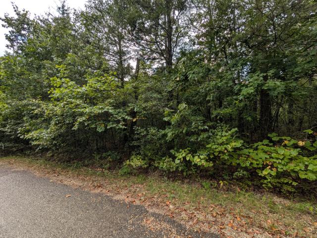 000 N Lot 359 Millstone Street