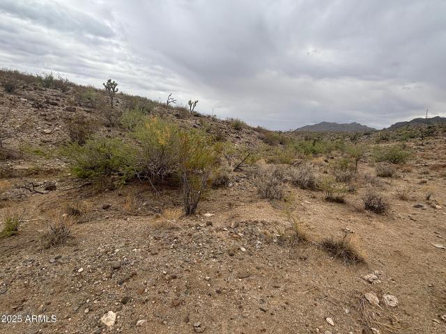 000 N Mohave Drive # 48
