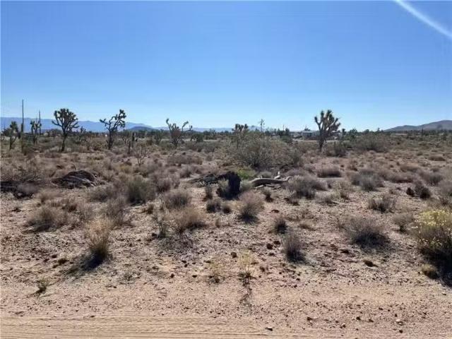 000 N PUEBLO ROAD, DOLAN SPRINGS, AZ 86441