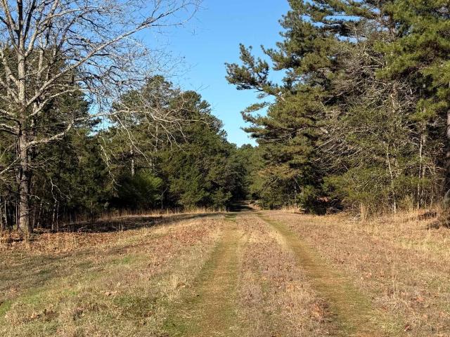 000 N Scenic Drive