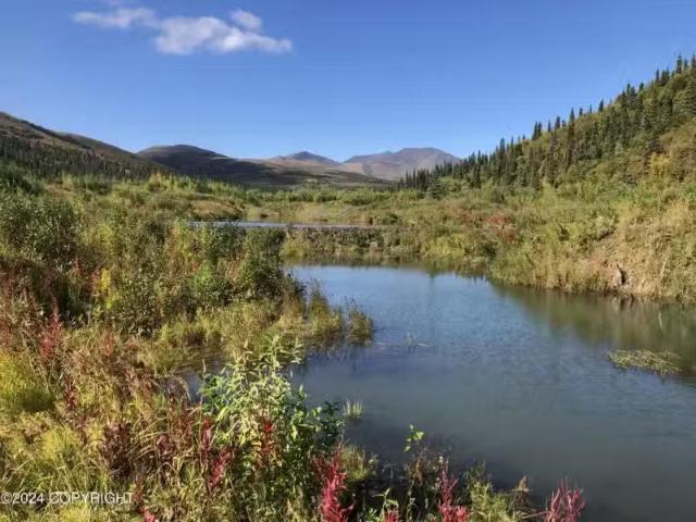 000 NO ROAD, ANIAK, AK 99000 Vacant Land For Sale MLS# 24 12080
