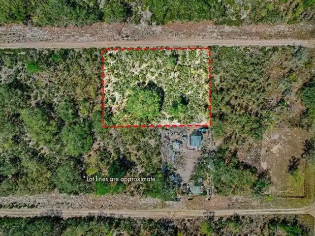 000 NE 68th Pl, Williston, FL 32696 MLS GC520263