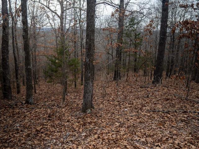 000 Nubbin Ridge Road