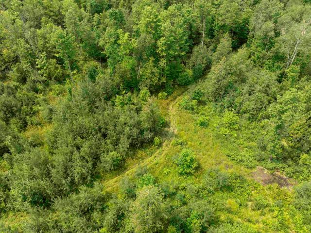 000 S Thompsonville Highway