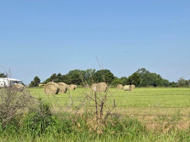 000 S State Highway 125