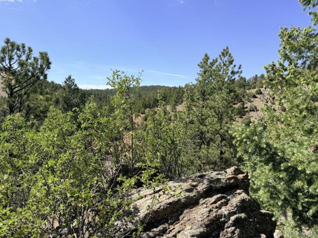 000 Schulze Ranch Rd