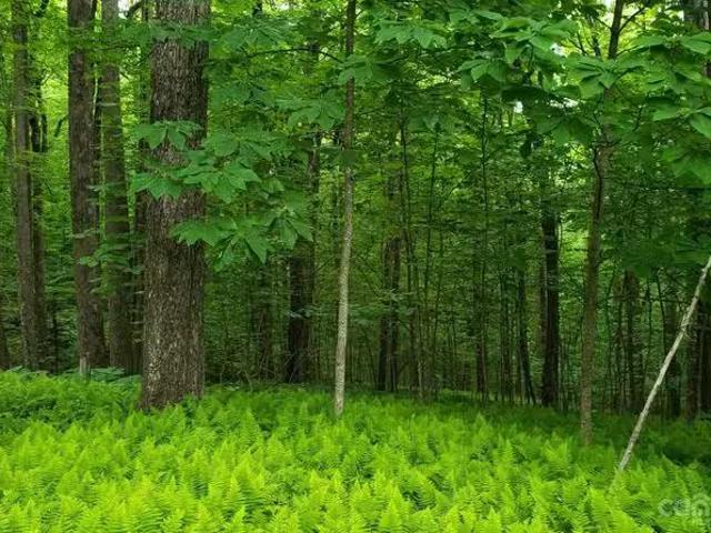 000 Severy Ln #342 A, Brevard, NC 28712 MLS 4038762