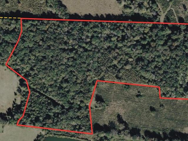 000 Sevier CR 279 / Greyland Rd