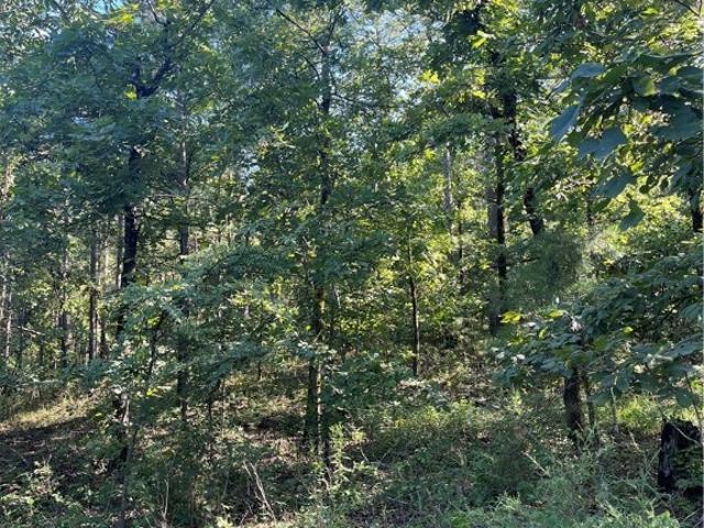 000 SE 1083rd Avenue