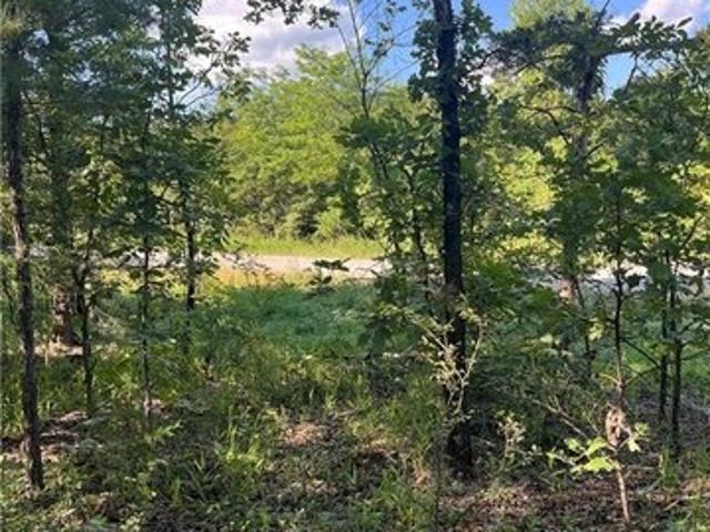 000 SE 1083rd 4 Ave Lot Tract and 5, Red Oak, OK 74563