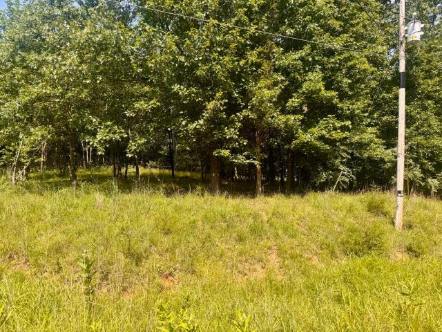 000 Shawnee Drive