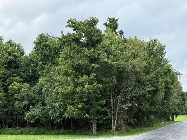 000 Shellbark Rd