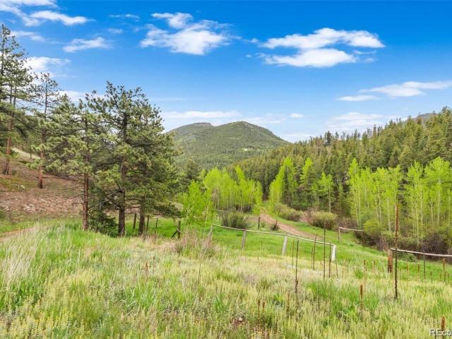 000 Spirit Horse Trail