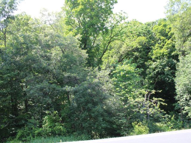 000 St Croix Trail