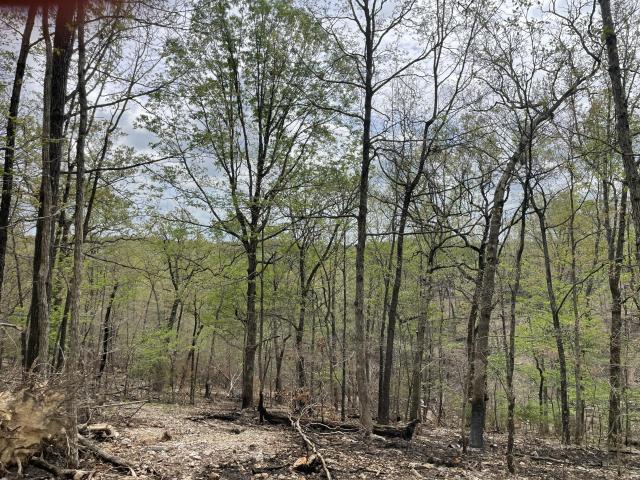 000 St. Hwy N Tract D