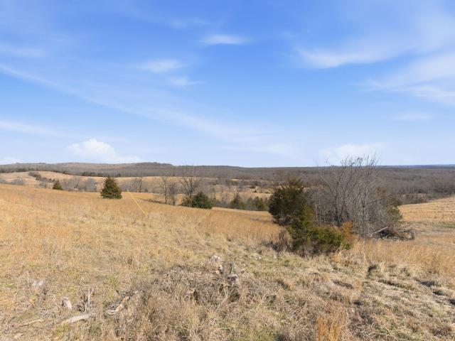 000 State Highway D Tract 1
