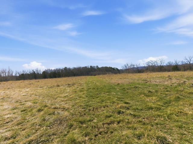 000 State Highway D Tract 2, Thornfield, US, MO