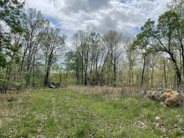 000 State Hwy N Tract B