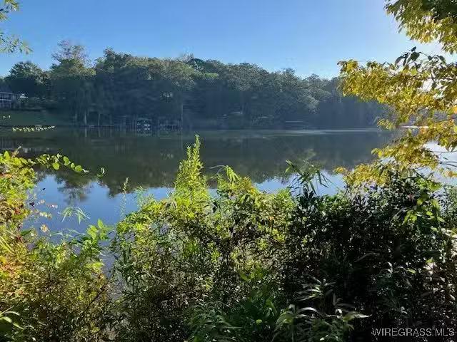 000 SUNSHINE ROAD, ANDALUSIA, AL 36421