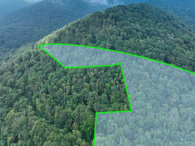 000 Sylvan Way