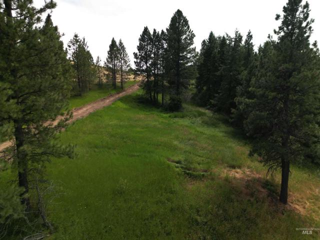 000 Parkins Rd A.K.A. Sumner Rd/Canyon Rd
