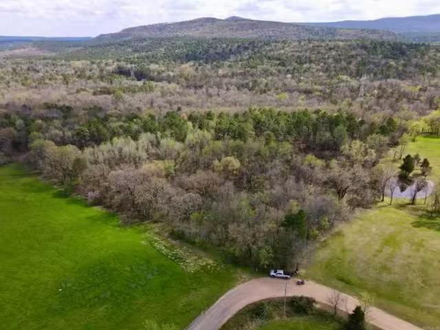 000 PEA RIDGE ROAD, HAVANA, AR 72842 Vacant Land For Sale MLS.