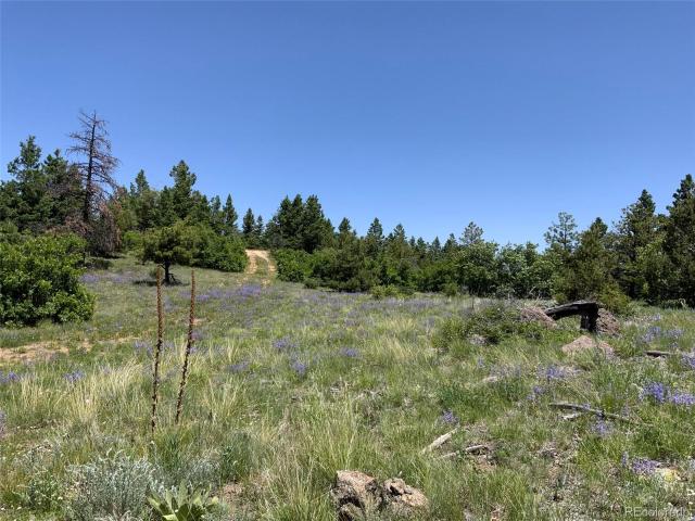 000 Peak View Ridge