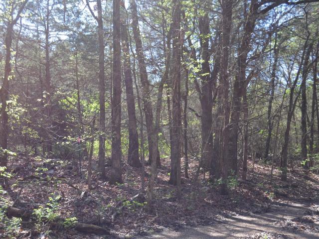 000 Persimmon Hill Lane