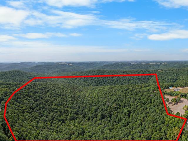 000 Pine Top Road