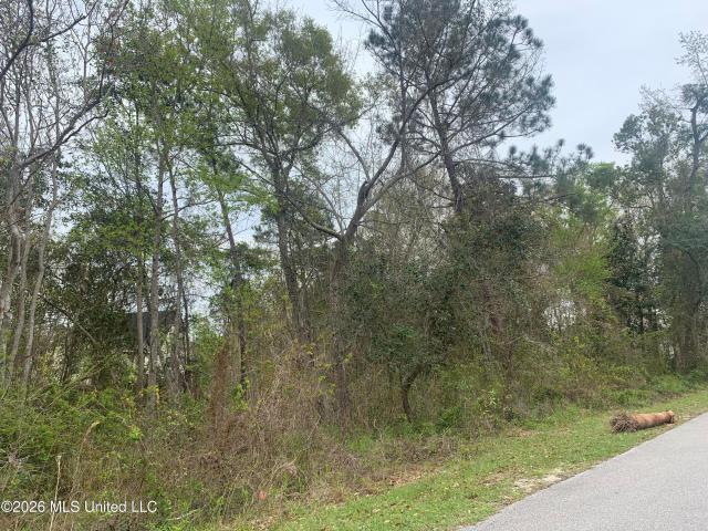 000 Pine Ridge Drive