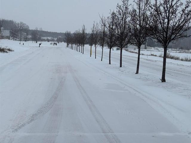 000 Pine Ridge Drive # Lot: 29