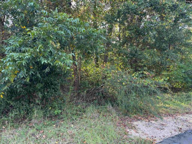 000 Quattlebaum Avenue