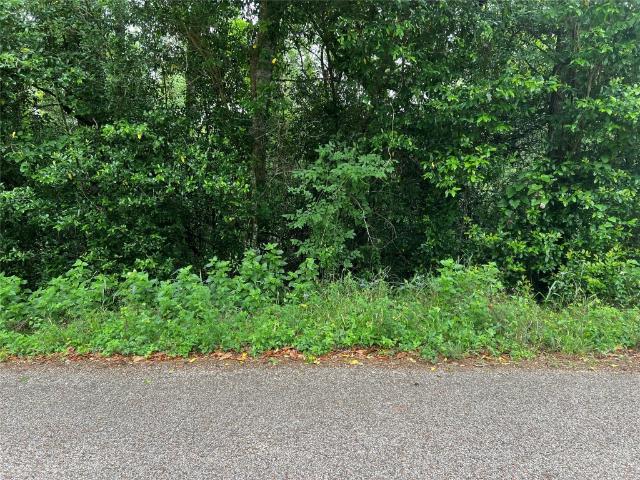 000 rollingwood loop
