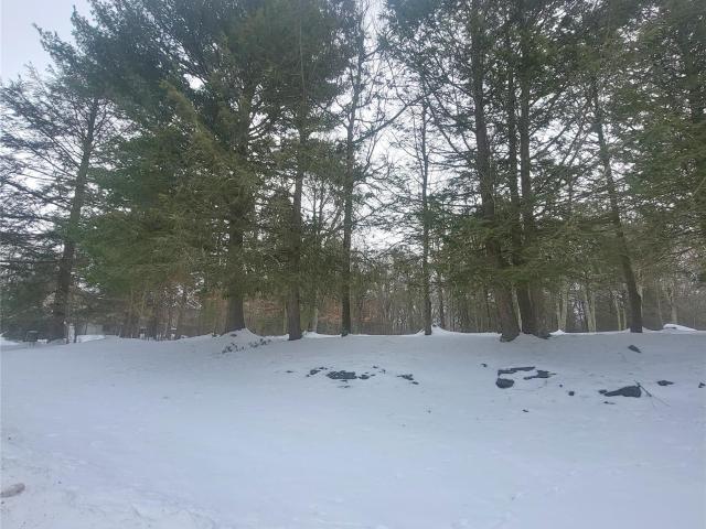 000 Roslyn Ridge Road