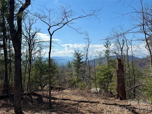 000 Rambling Ridge Road # 16