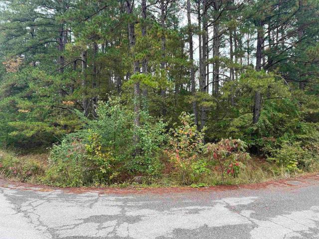 000 Redbud St