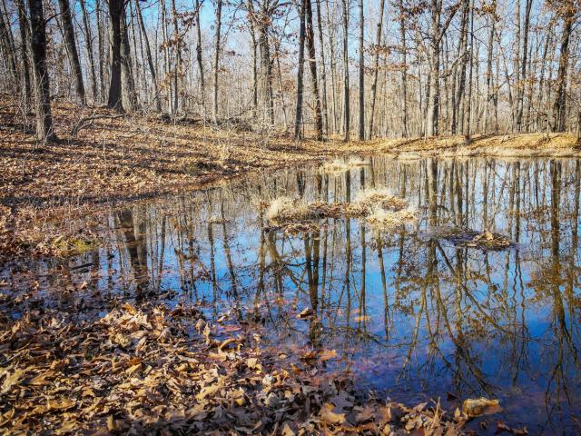 000 Ridge Trail Road # Lots A E