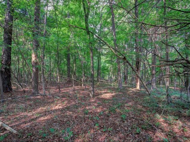 000 Rumley Road
