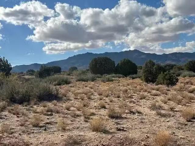 000 Running Brook Dr, Hackberry, AZ 86411 MLS 022394