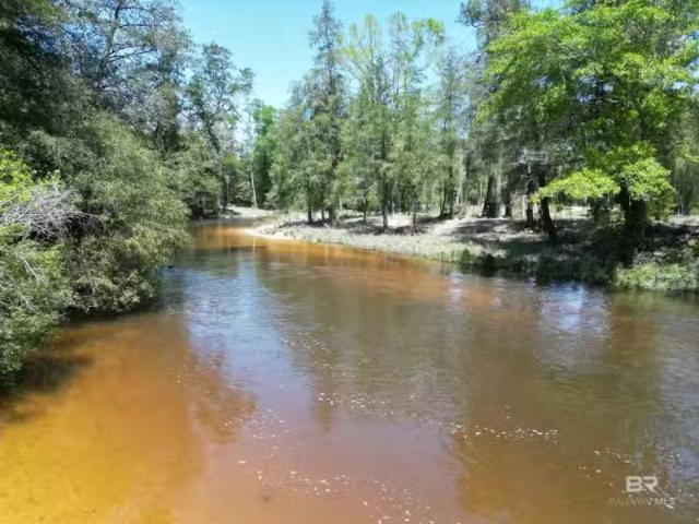 000 WOLF LOG ROAD, FLOMATON, AL 36441 Single Family Residence.