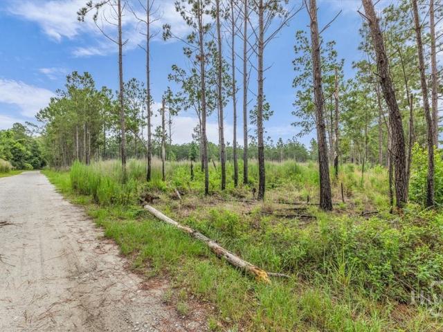 000 Wood Grove Lane