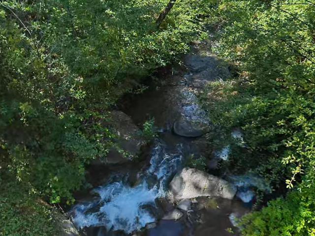 000 Woodcutters Way