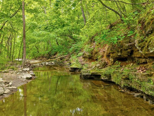 000 Woodland Drive
