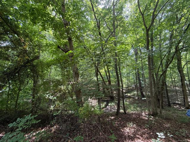 000 Waterway Trail # Lot #70B Keniana Lake Shore