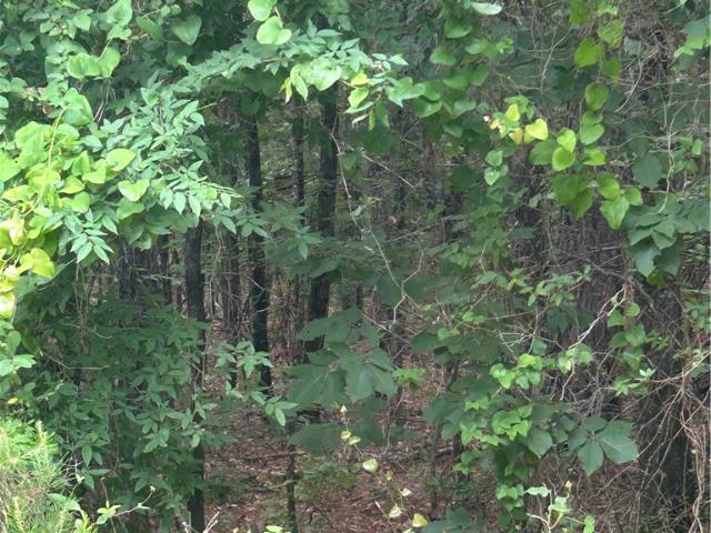 000 Wildcat Hollow