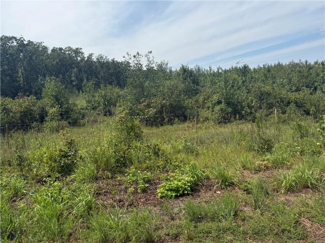 000 Williams Ridge Drive