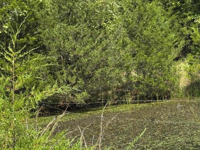 000 Tbd County Road 946