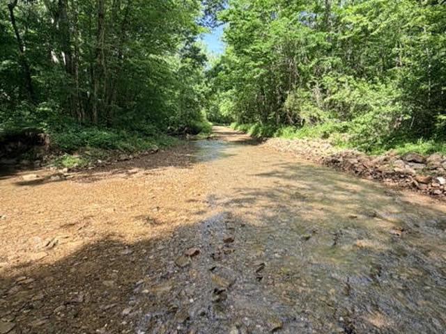 000 Terrapin Road